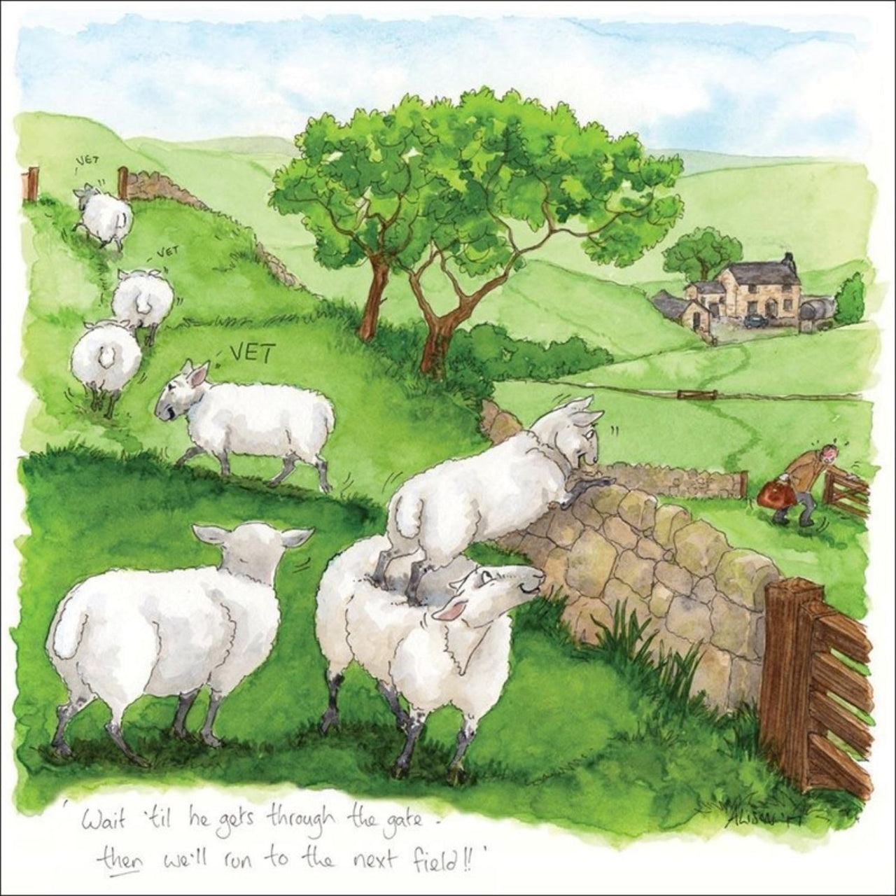 Sheep Greeting Card James Herriot Wait Till He Gets Through The Gate ...